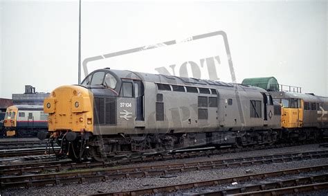 Rail Online Class 37 Ee Type 3 37104 1990c Leeds Holbeck
