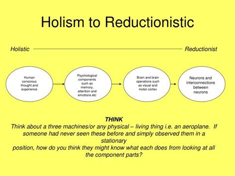 Reductionist