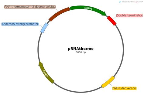 Team Svce Chennai Temperature Sensitive Activation