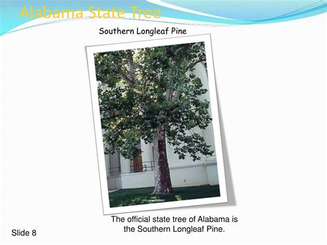 Ppt Alabama Powerpoint Presentation Free Download Id3763572