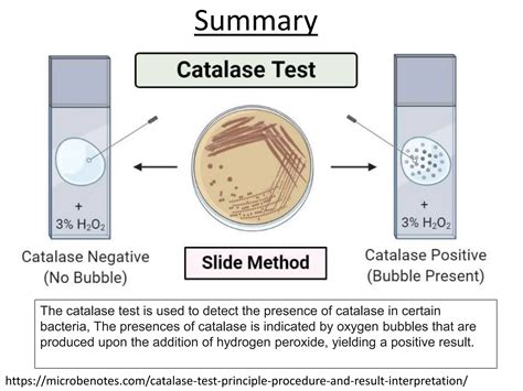 Catalase Test Presented By Dr Mohan Singh Dhakad Pptx