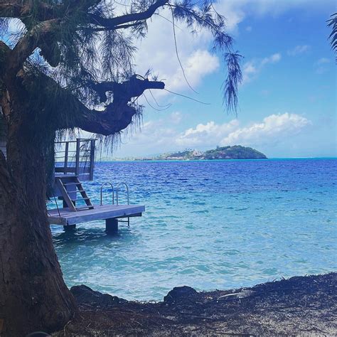 Simon Warner Simonwarnerfitness • Instagram Photos And Videos