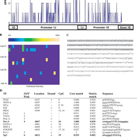 Pcr Primers And Reaction Conditions For Bisulphite Sequencing Download Table