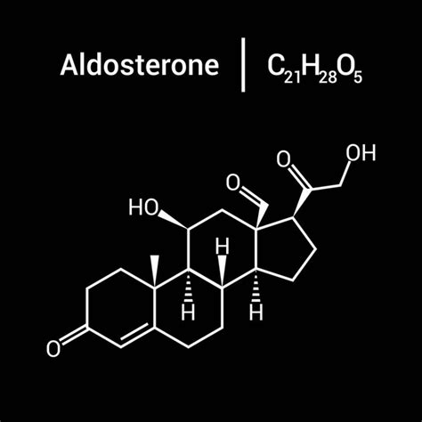 Aldosteron Free Stock Vectors