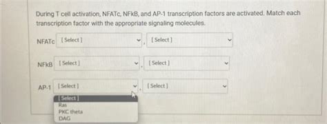 Solved During T Cell Activation Nfatc Nfkb And Ap 1