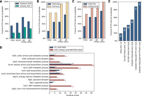 Dual Threshold Optimization And Network Inference Reveal Convergent Evidence From Tf Binding