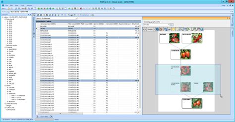 Doriane Blog — Plant Breeding Software