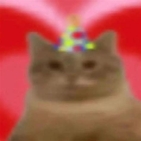 戴着彩色生日帽的猫咪，表情呆萌可爱，氛围喜庆 万能回复表情包表情包图片动图 求表情网斗图从此不求人
