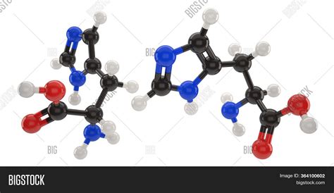 Histidine Molecule Image And Photo Free Trial Bigstock