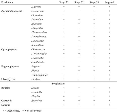 Oral And Buccophryngeal Morphology Of The Tadpoles Of Polypedates