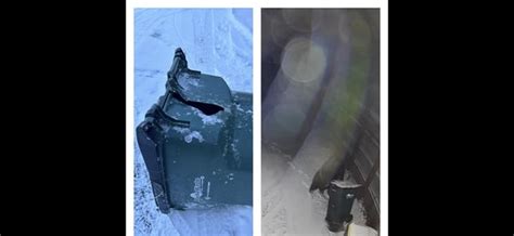 “bear Proof” Garbage Bin R Mildlyinteresting