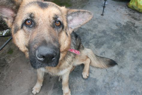 Natsy By Merang On Deviantart