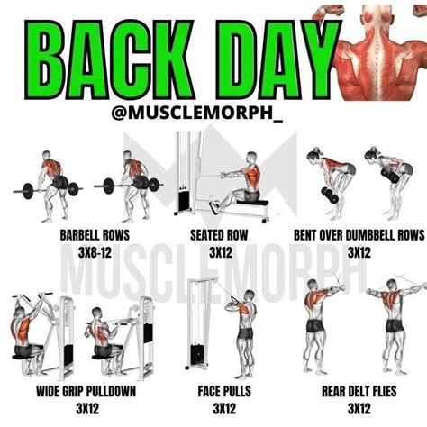 Back And Biceps The Best Workout Combination Artofit