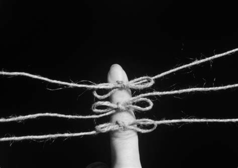 Oas 2023 Nothing Is Something Amina Gingold — Mono No Aware