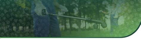 Pavement Ant Prevention And Treatment In Idaho Identification And