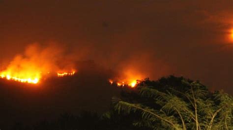 115 Rise In Forest Fires This Month Latest News India