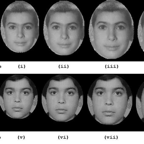 4 active appearance model scheme download scientific diagram