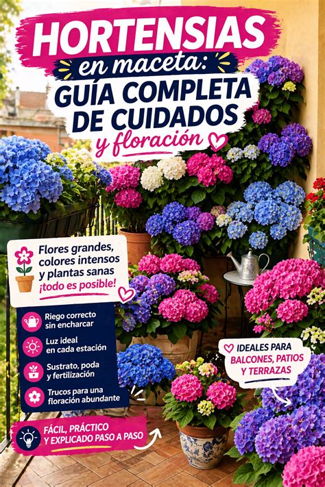 Hortensias En Maceta Guía Completa De Cuidados Y Floración Trucos De