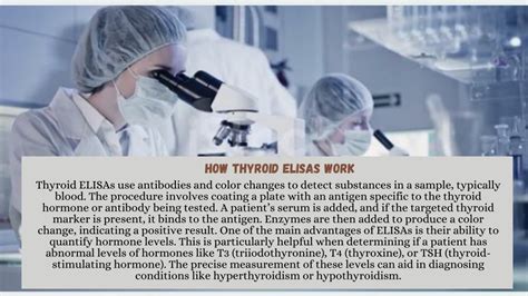 Ppt Thyroid Elisa Reliable Tools For Thyroid Function Testing