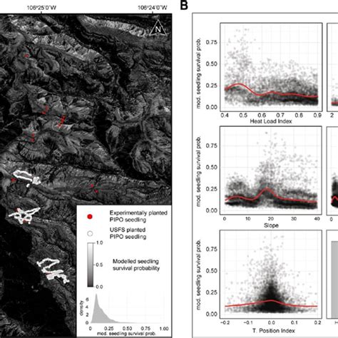 A Mean Spatial Projections Of Boosted Regression Tree Models Of