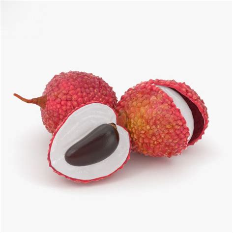Lychee 3d Models Download Free3d