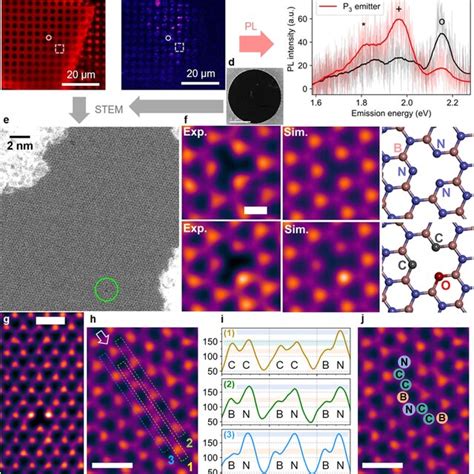 Michael Strano Massachusetts Institute Of Technology Ma Mit Department Of Chemical