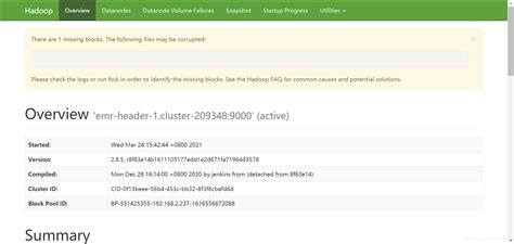 【hadoop】hdfs块修复 hdfs debug recoverlease csdn博客