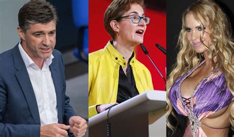 Irrer Zoff Geht Weiter Ex Pornostar Schießt Gegen Fdp Frau Mopo