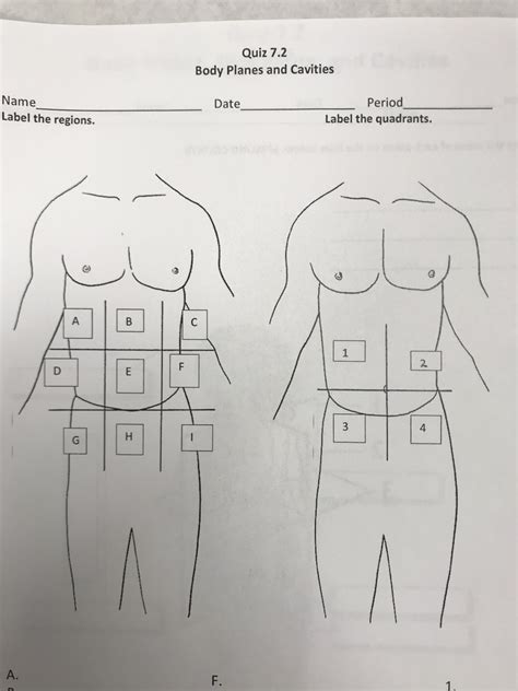 Quadrants Diagram Quizlet