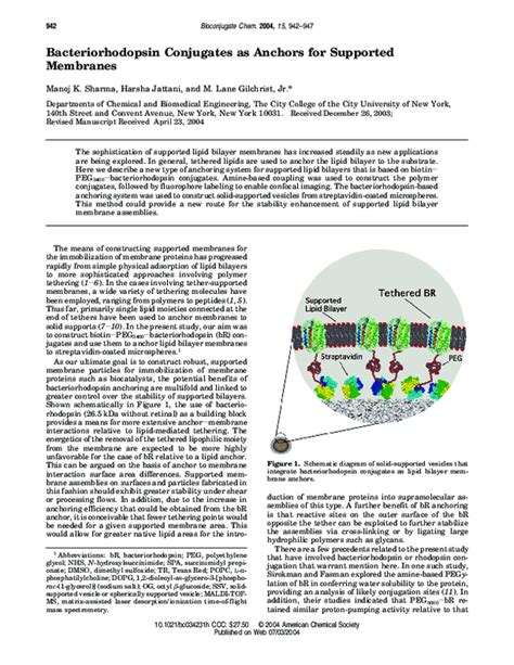 Pdf Bacteriorhodopsin Conjugates As Anchors For Supported Membranes