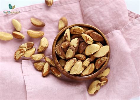 خواص بادام برزیلی آجیل برزیلی چه خواص و فوایدی دارد؟ حاجی بادومی