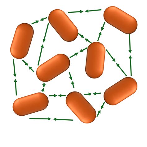 Tutorial Structure Factors
