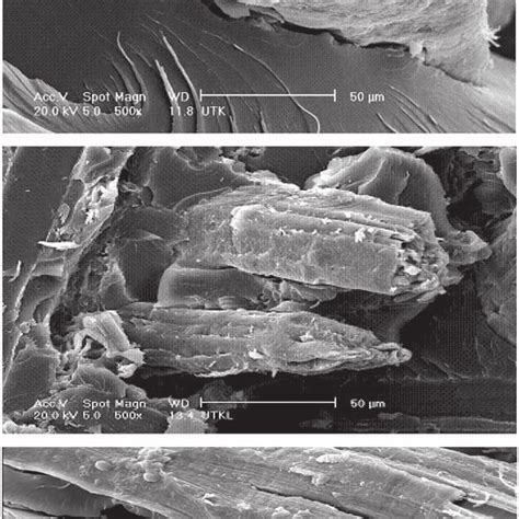 Sem Micrographs Of Fracture Surface Of The Composites Magnification Download Scientific