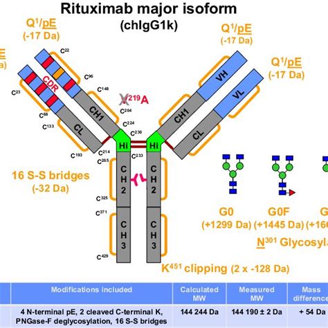 Rituximab Characterization By Chromatographic Techniques Rituximab Download Scientific Diagram
