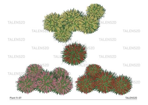 plant top view 2d landscape clipart in png etsy