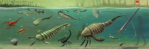 Silurian Period Silurian Fossils