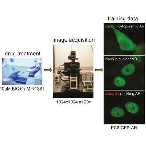 Cellsens Software Entry Hansa Sm
