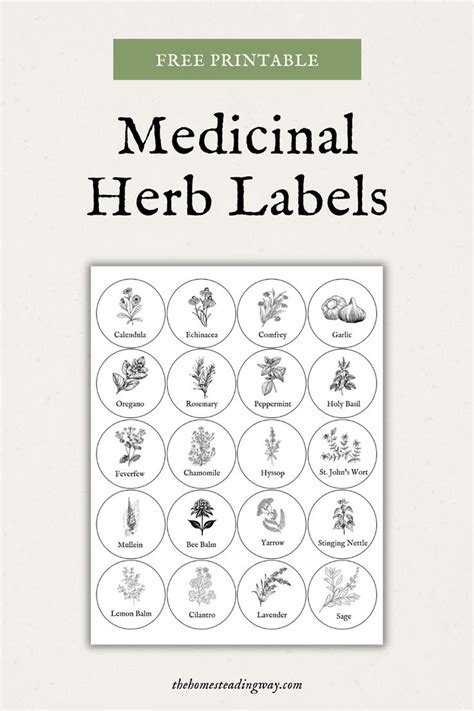 Free Printable Medicinal Herb Labels For Your Apothecary The