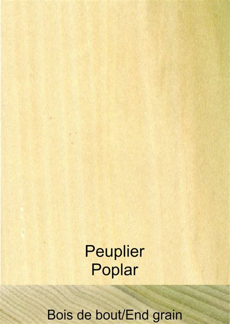Peuplier Liriodendron Tulipifera Bois