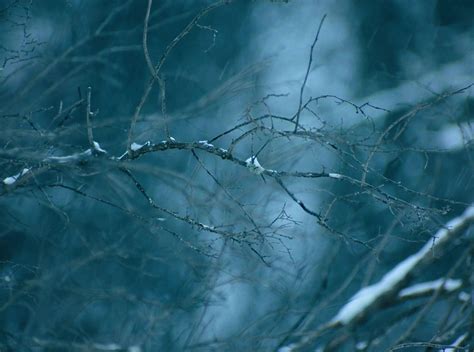 Nancy 2018 Dir Christina Choe The Iron Cupcake