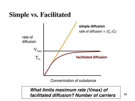 Ppt Membrane Structure And Function Powerpoint Presentation Free