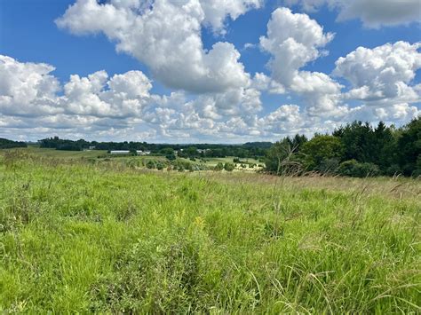 A Pollinator Prairie Part 2 Overcoming Setbacks Overcoming Challenges In Prairie Restoration