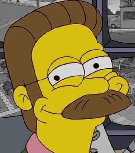 Flanders Meme