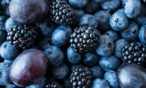 Manaferra Dhe Boronica Vlerat E Rralla Të Dy Frutave Medicinale