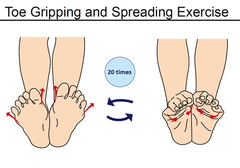 Physio Visuals Illustrated Exercise Stretching And Rehabilitation Guides