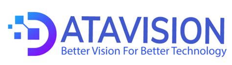 Data Annotation And Labelling Services Data Vision