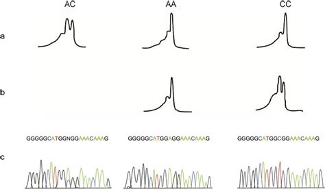 Denaturing High Performance Liquid Chromatography Dhplc For The
