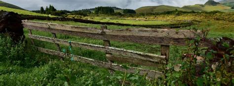 Building A Strong Foundation How It Trust Security And Visibility Drive Productivity And Success