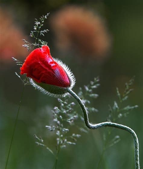 Красочные пейзажи от Andris Eglitis