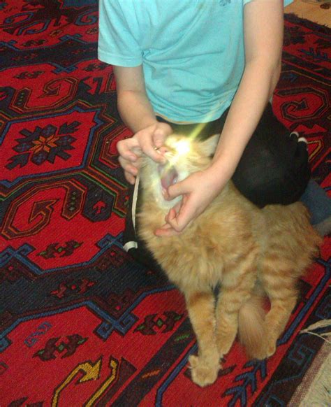 Jabber смешные картинки и другие приколы комиксы гиф анимация видео лучший